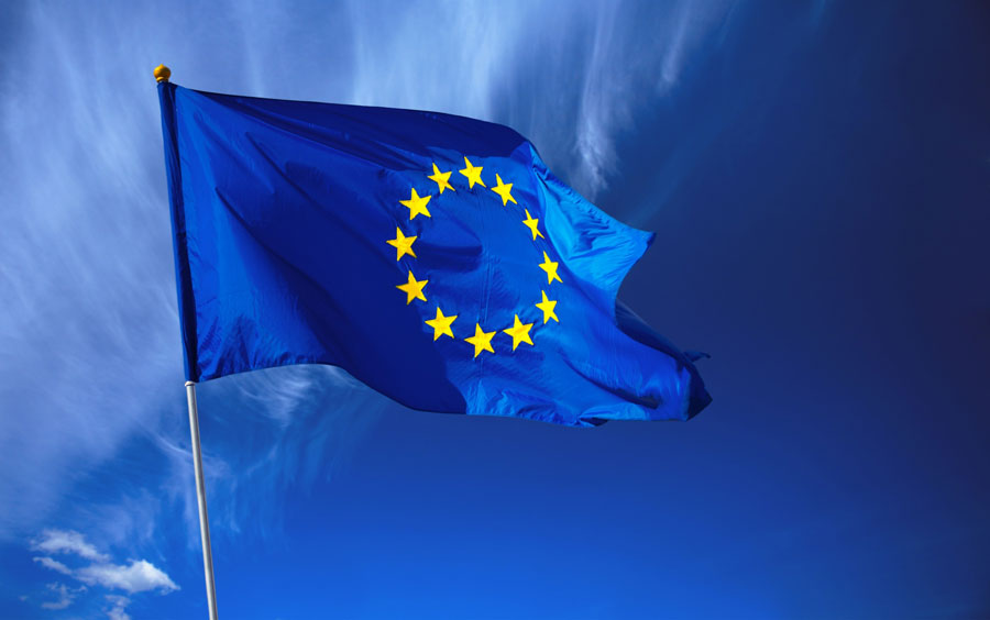 Guidelines On Data Protection Officer Avvera guidelines-on-data-protection-officer-avvera
